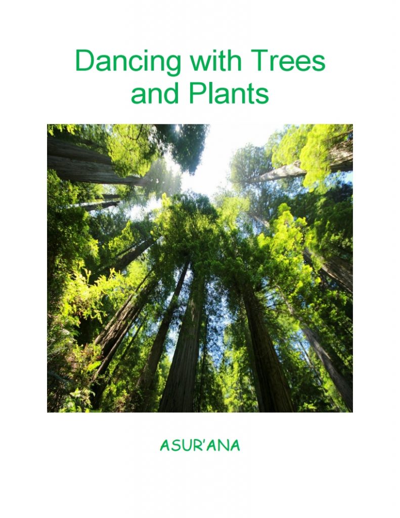 Dancing with Trees and Plants -Aligning With Earth