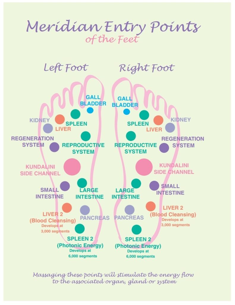 Charts and Diagrams for Ascension Insights, Volume 6 -Aligning With Earth